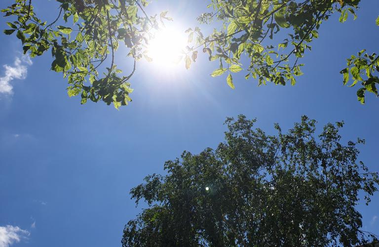 Canicule | Echirolles